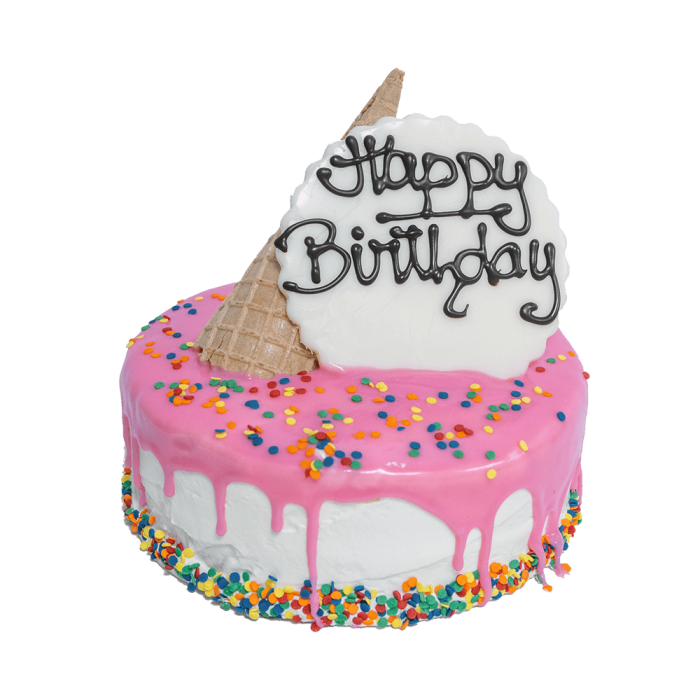 Confetti Party Cake - The Cake Solution